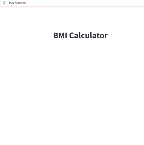 How To Make a BMI Calculator Web Application - Console Flare Blog